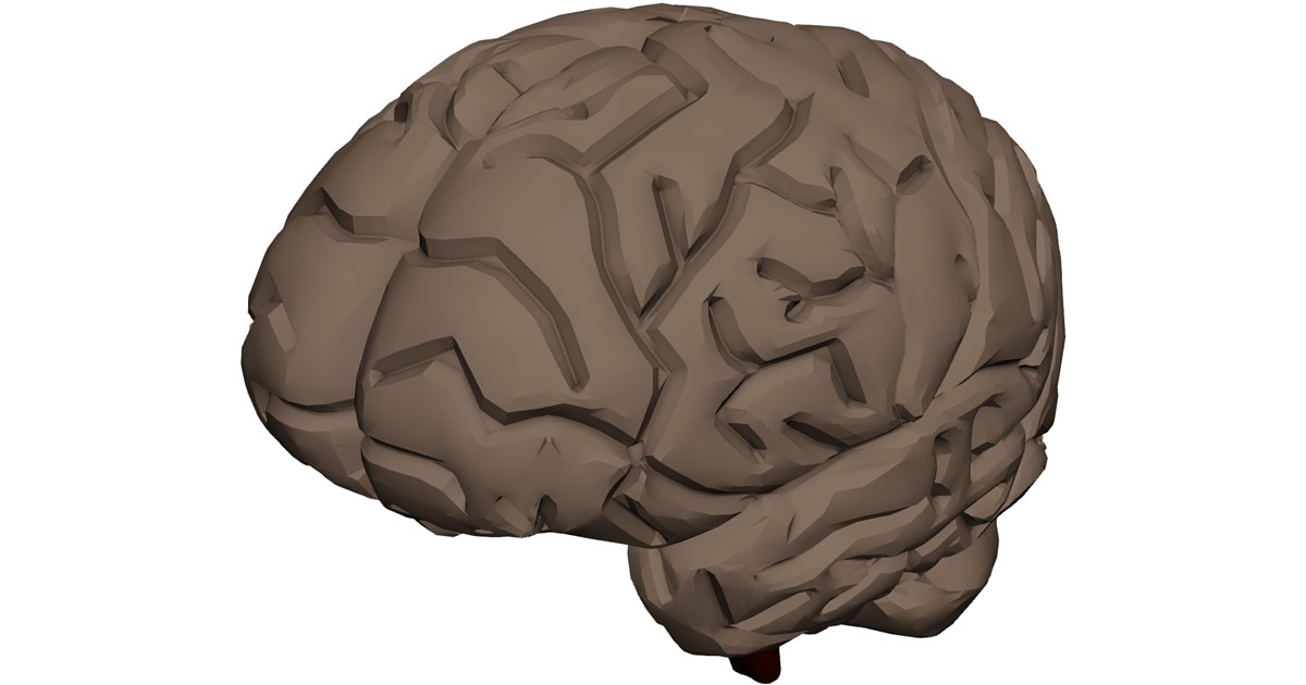 Brain 3D Model - 3D CAD Browser