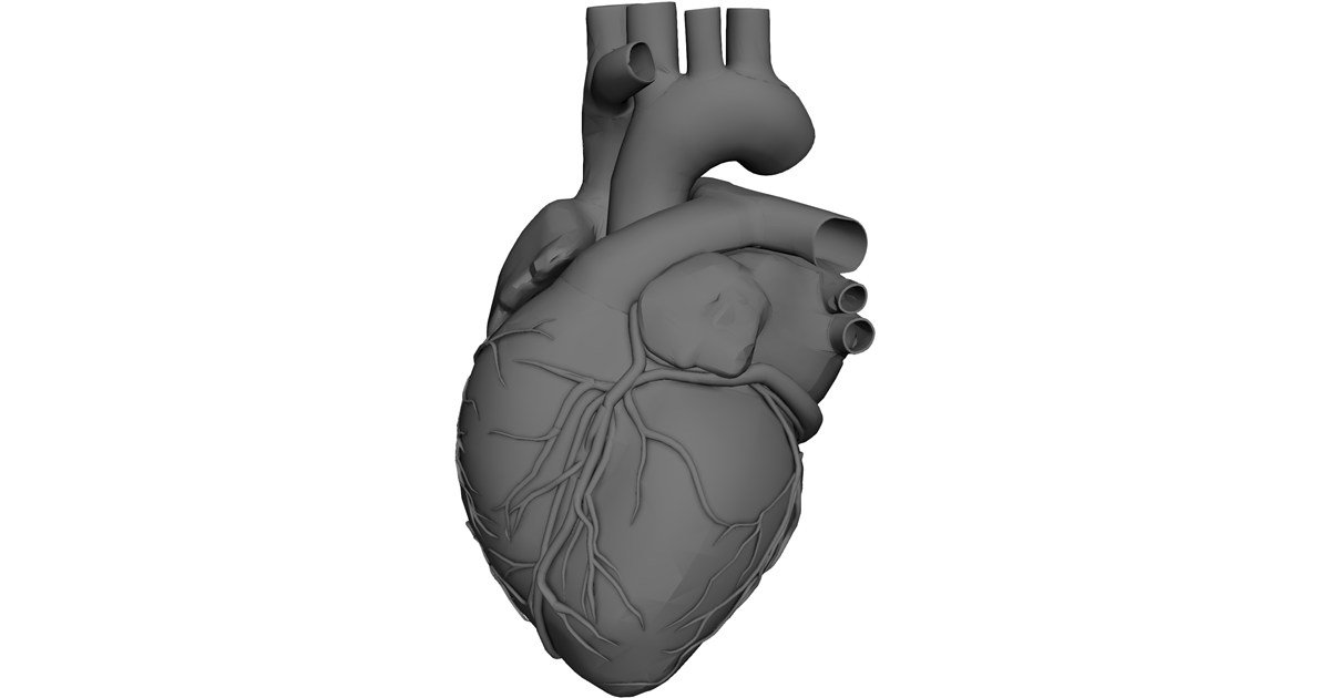 Heart CAD Model - 3D CAD Browser