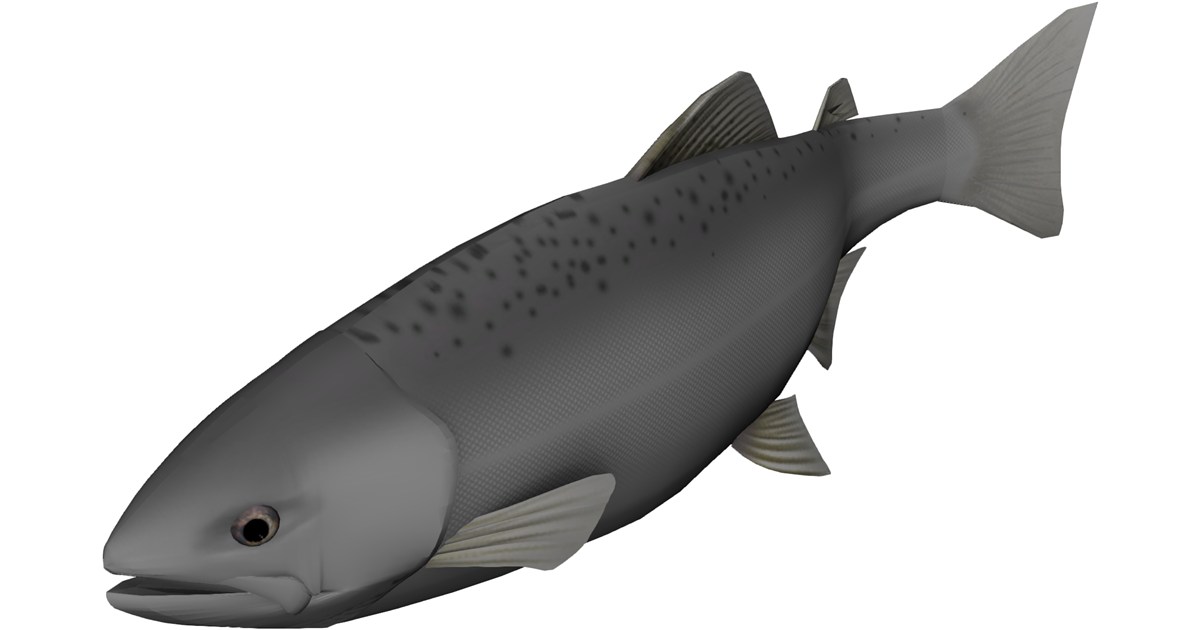 Happy Fish 3D Model - 3D CAD Browser