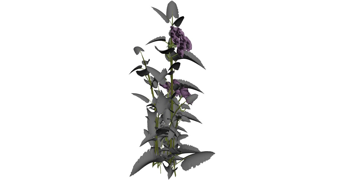 Plant 3D Model - 3D CAD Browser