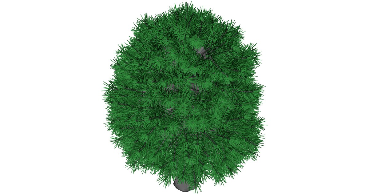 Tree 3D Model - 3D CAD Browser
