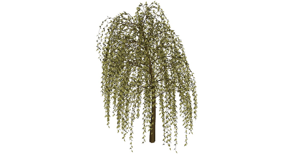 Willow Tree 3D Model - 3D CAD Browser