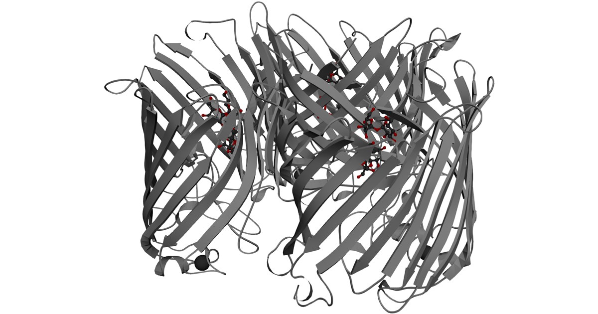 Protein 3D Model - 3D CAD Browser