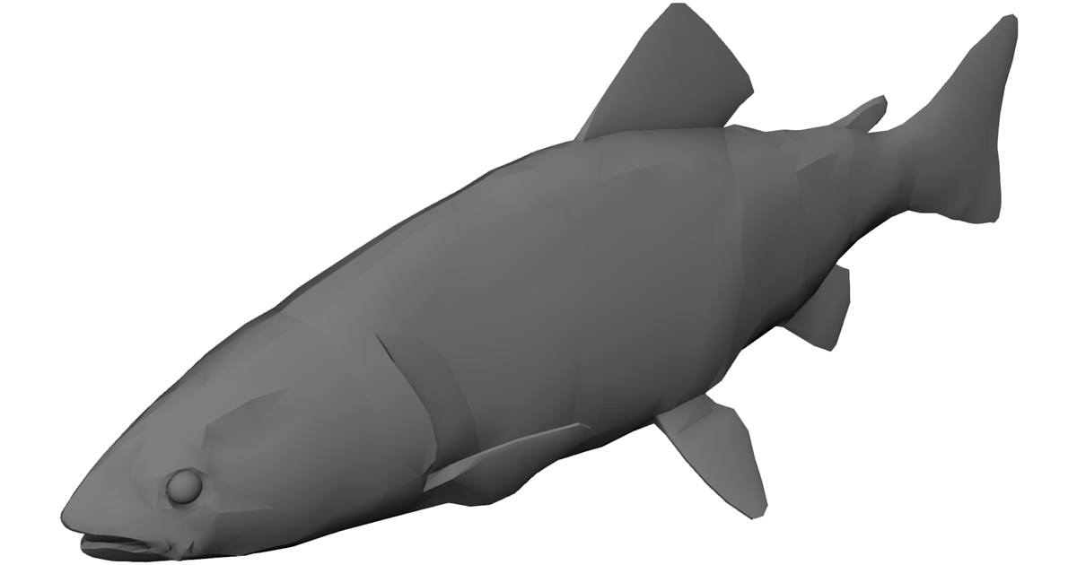 Rainbow Trout 3D Model - 3D CAD Browser