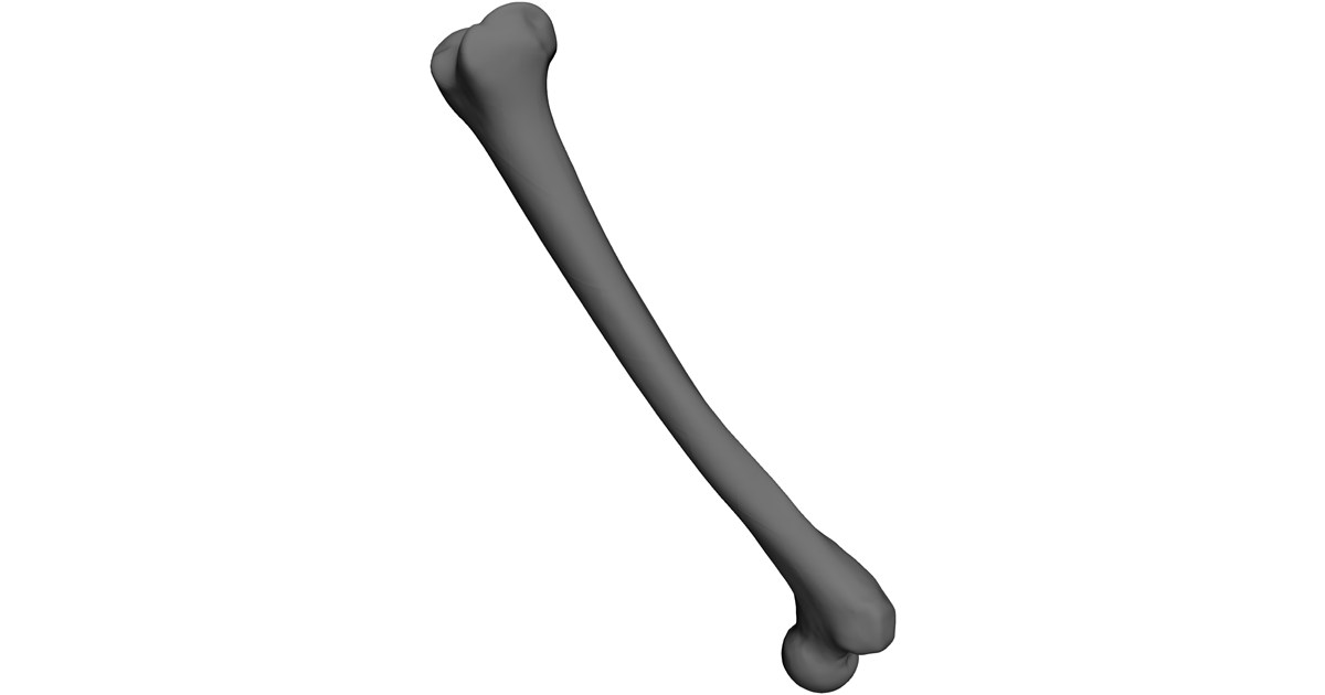 Femur Bone CAD Model - 3D CAD Browser