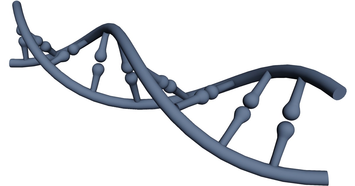 DNA 3D Model - 3D CAD Browser