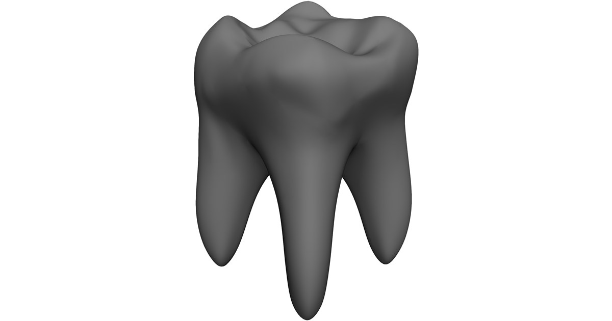 Tooth 3D Model - 3D CAD Browser