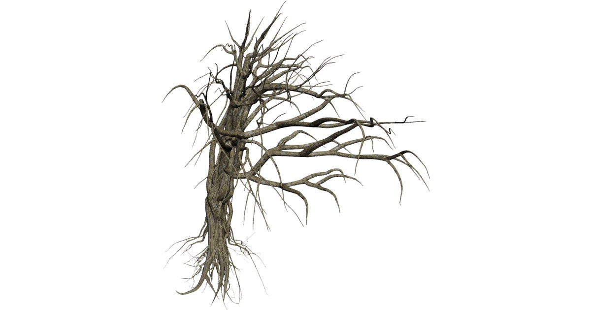 Dry Old Tree 3D Model - 3D CAD Browser