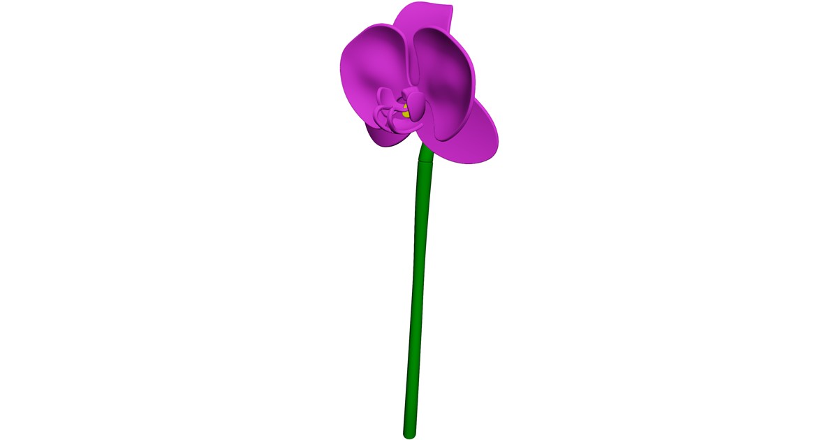 Orchid Flower CAD Model - 3D CAD Browser