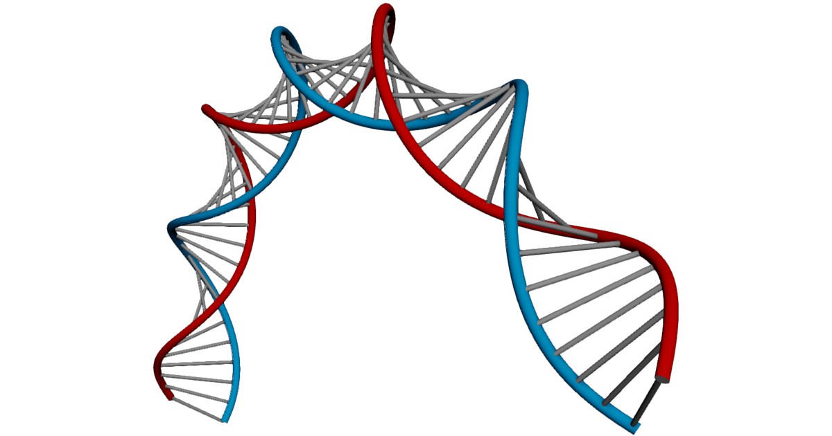 DNA 3D Model - 3D CAD Browser